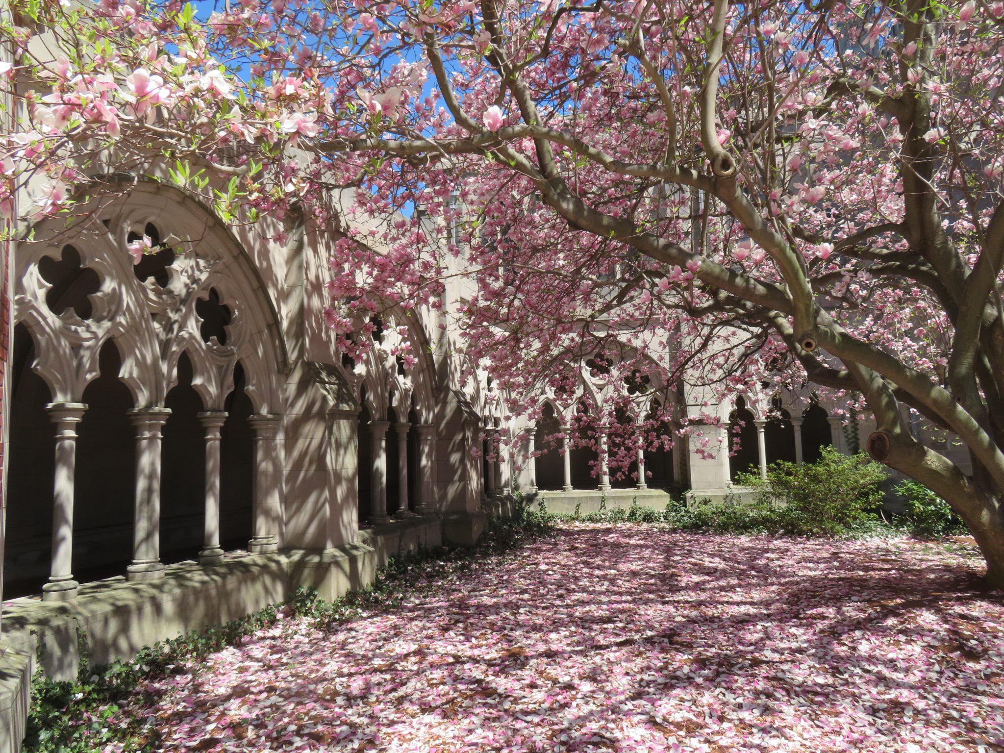 Chapel Cloister In The Spring - Cirrus Structural Engineering